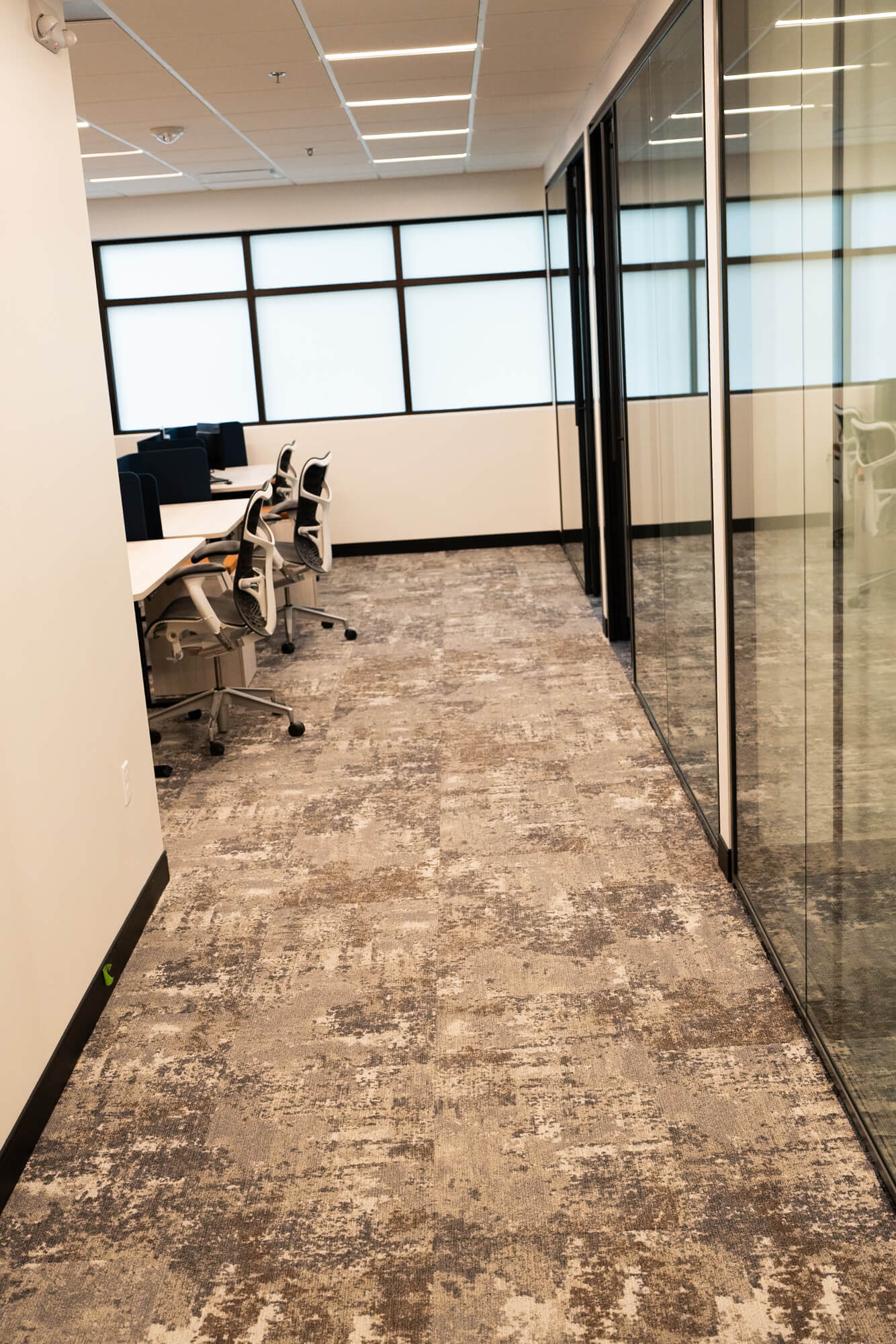Carpet Floor Installation - True Finishing